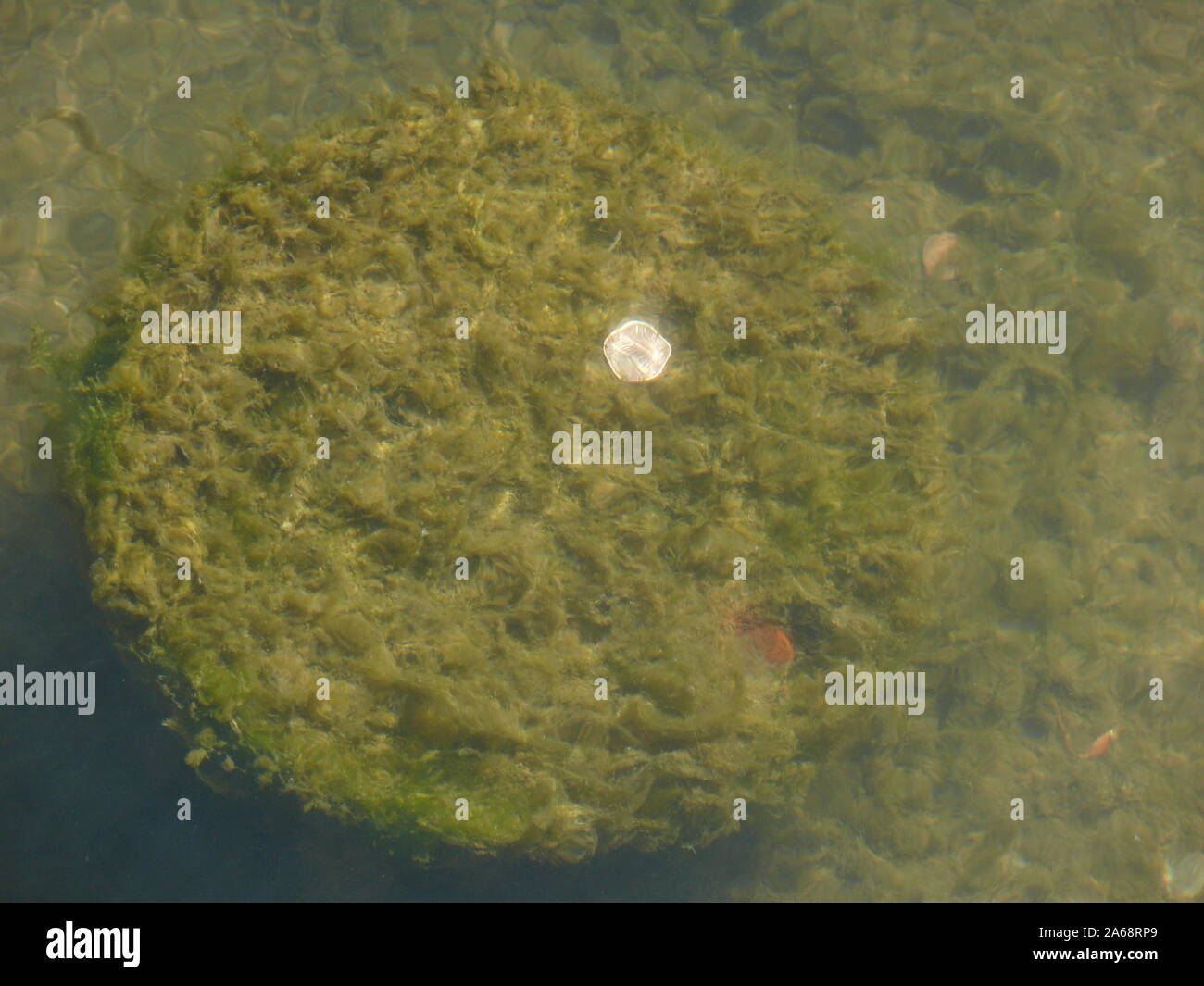 Antietam creek hi-res stock photography and images - Alamy