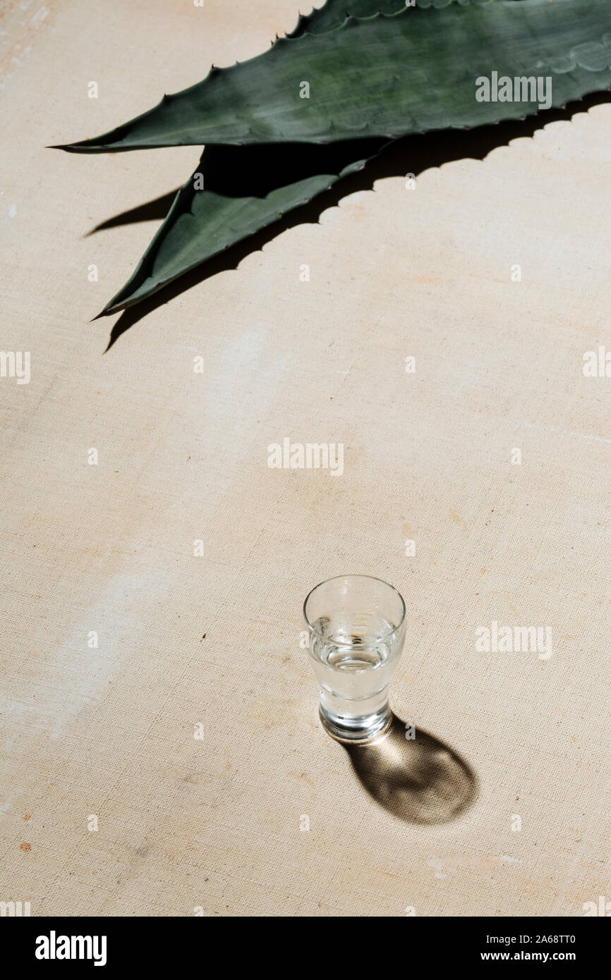 Mezcal or Mescal is a Mexican distilled alcoholic beverage made from ...