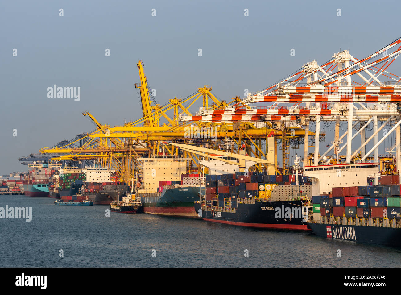 Laem Chabang seaport, Thailand - March 17, 2019: Long row of yellow and ...
