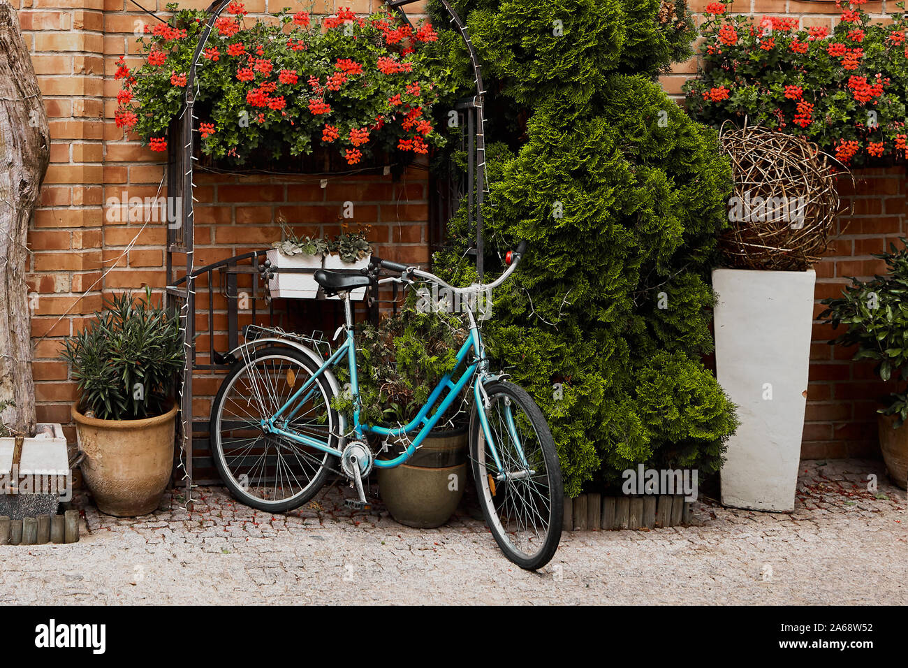 Vintage bicycle on brick wall with flowers, retro stylish in old town, blue retro bike Stock ...