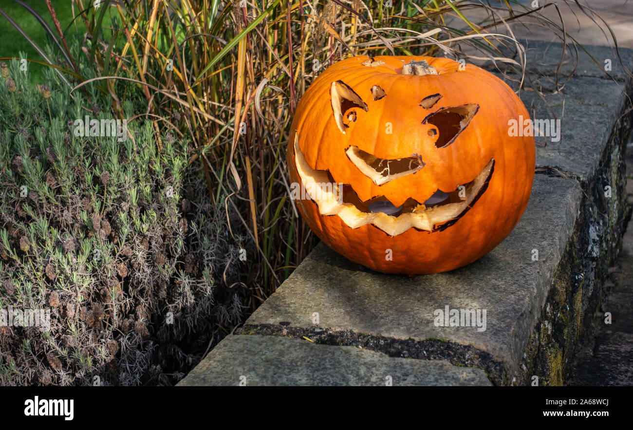 Pumpkin on an outside wall Stock Photo - Alamy