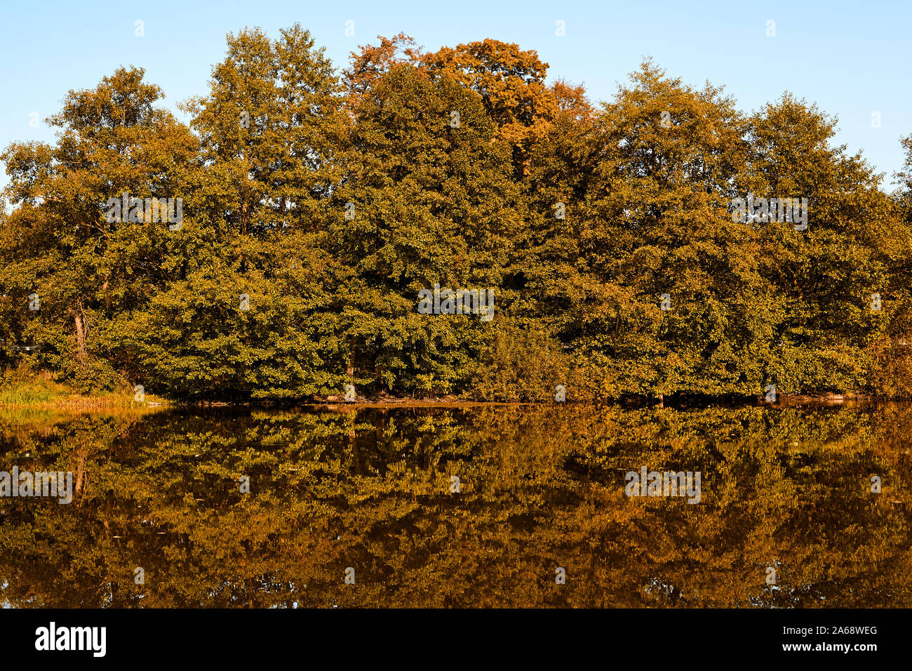 Autumn landscape. Trees orange color. Lake with reflection Stock Photo ...