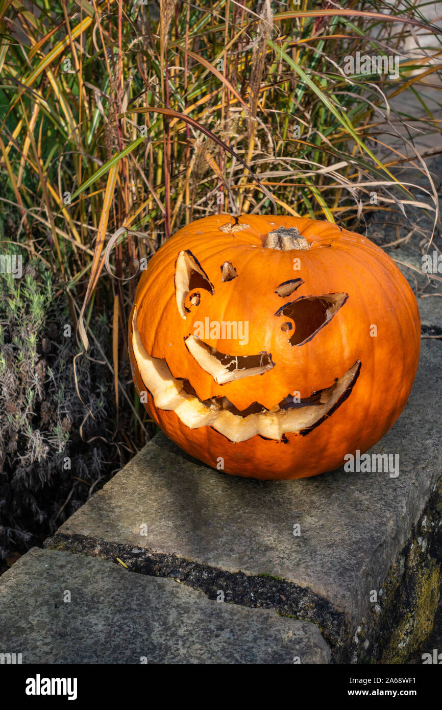 Pumpkin on an outside wall Stock Photo - Alamy