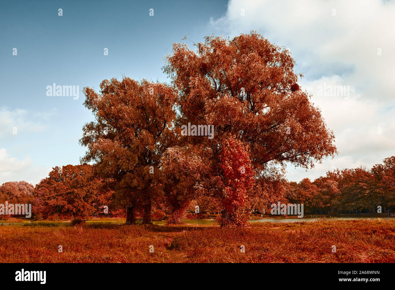 Atmospheric landscape hi-res stock photography and images - Alamy