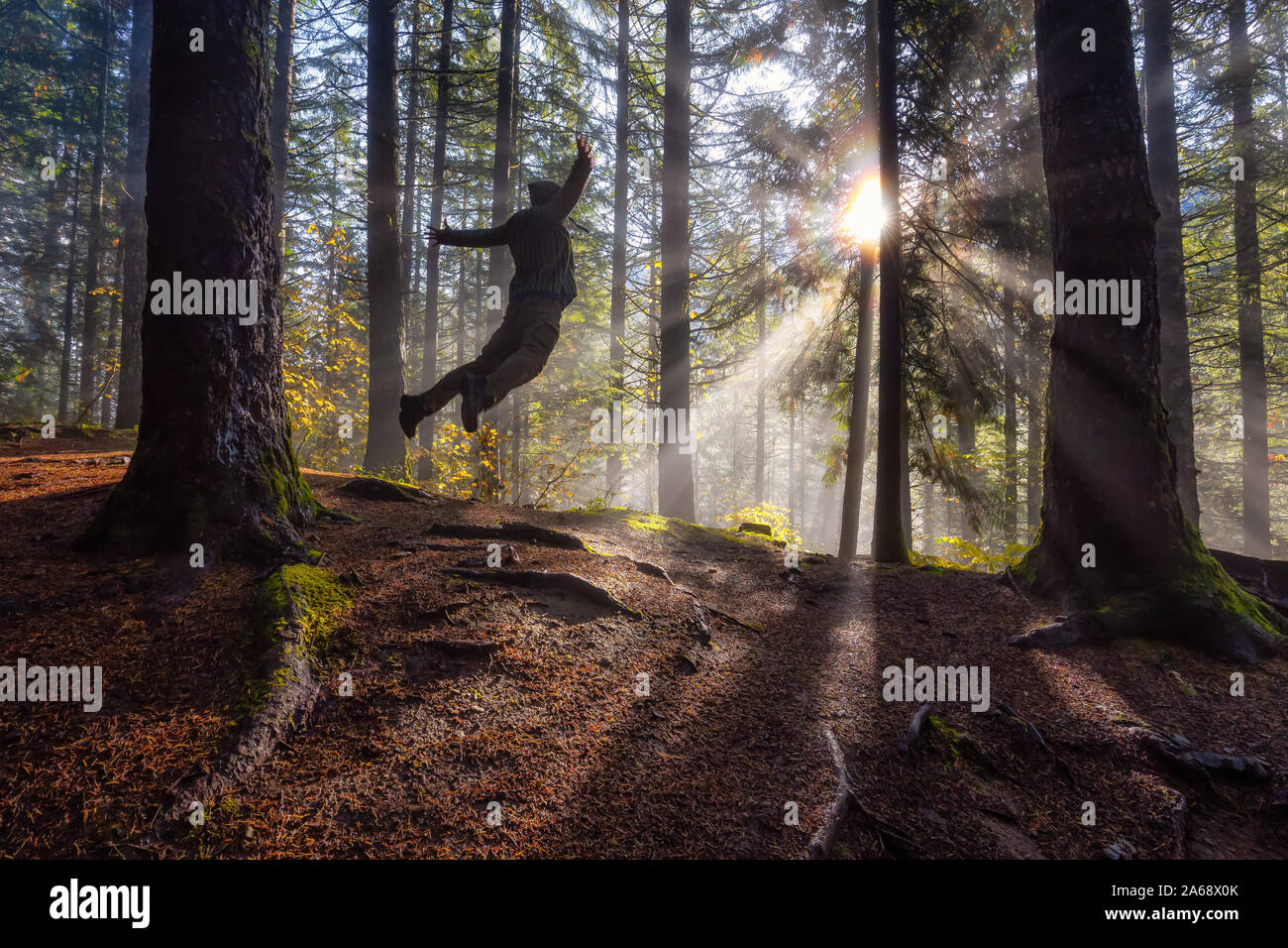 Adventure Man enjoying the Beautiful Canadian Nature View of the Forest ...
