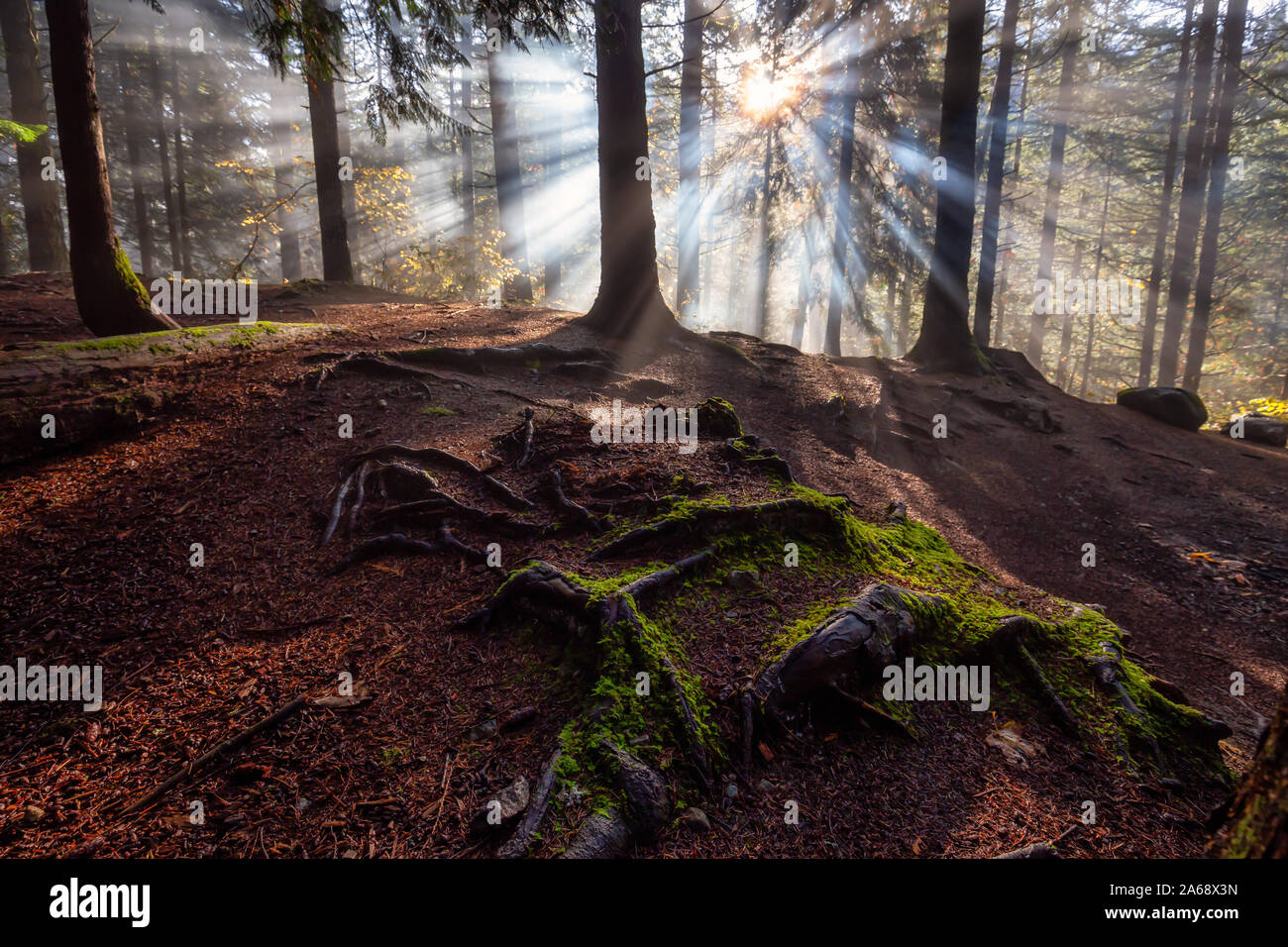 Sloquet hot springs hi-res stock photography and images - Alamy