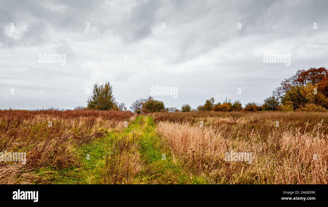 Autumn landscape. Dramatic sky and orange field Stock Photo - Alamy