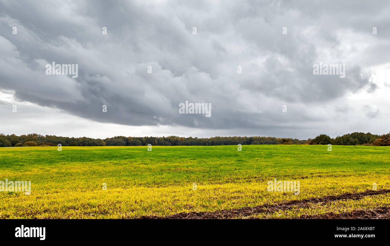 Autumn field. Road in the autumn field. Dramatic sky and orange trees ...