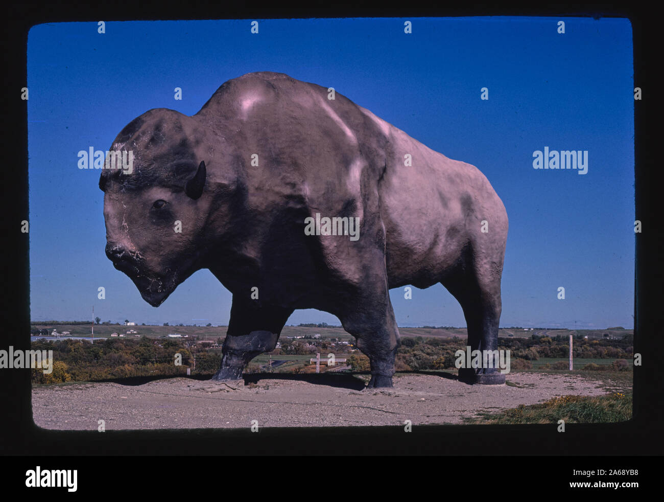 World's Largest Buffalo, Jamestown, North Dakota Stock Photo - Alamy