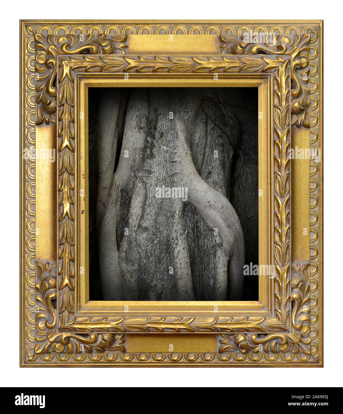 Ancient banyan tree Cut Out Stock Images & Pictures - Alamy