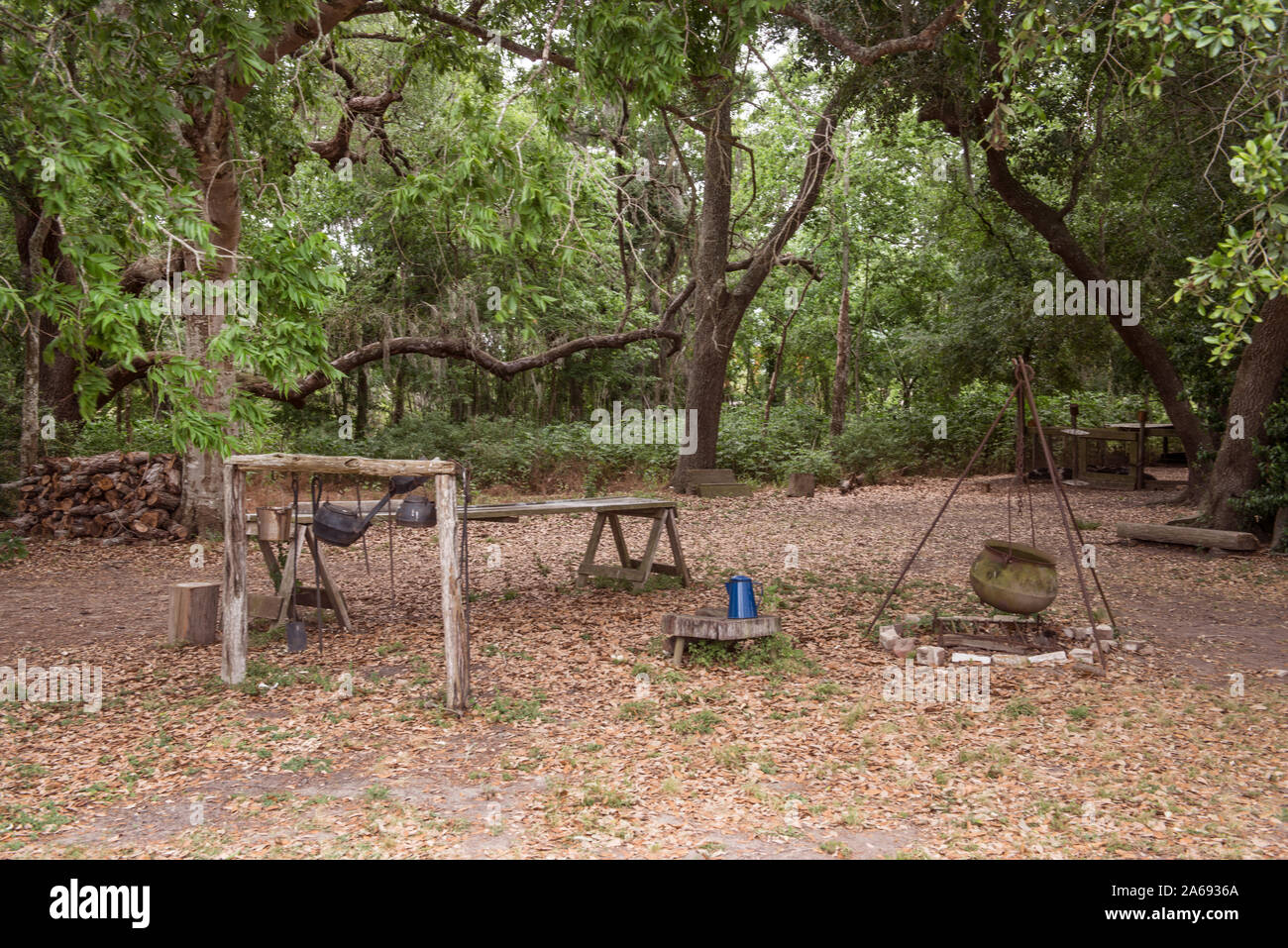 Yard behind a sharecropper's cabin on the George Ranch Historical Park ...