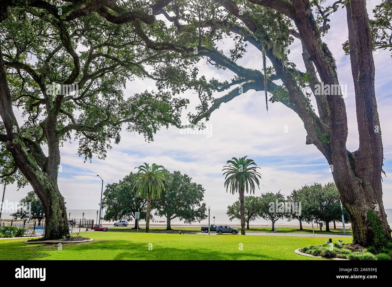 Live oak trees and palm trees adorn the lawn at The White House Hotel ...