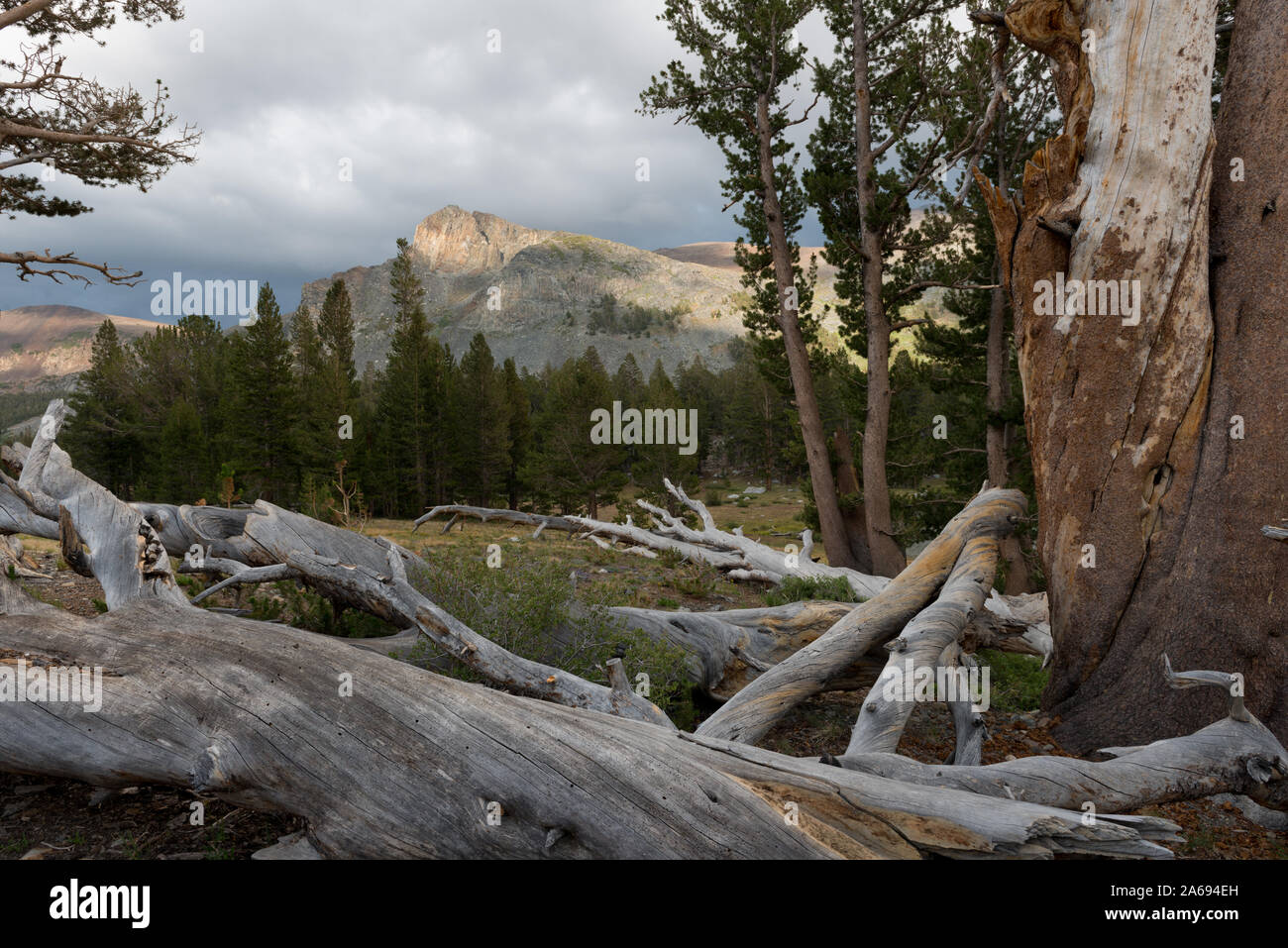 Yosemite National Park spans eastern portions of Tuolumne, Mariposa and ...