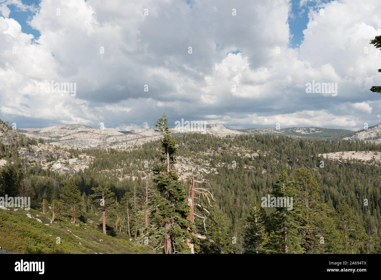 Nationalparkphoto hi-res stock photography and images - Alamy
