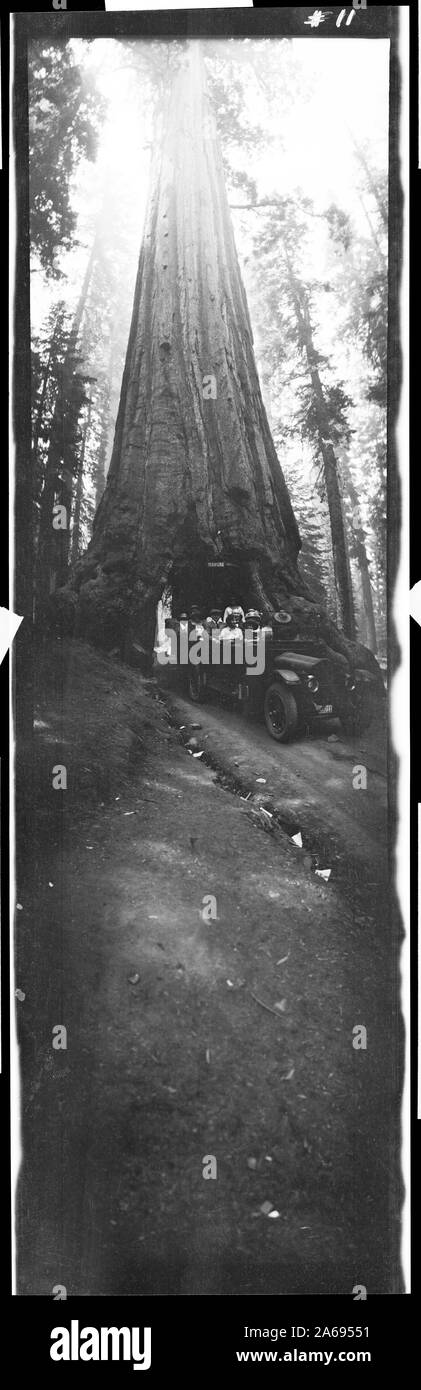 Mariposa park Black and White Stock Photos & Images - Alamy