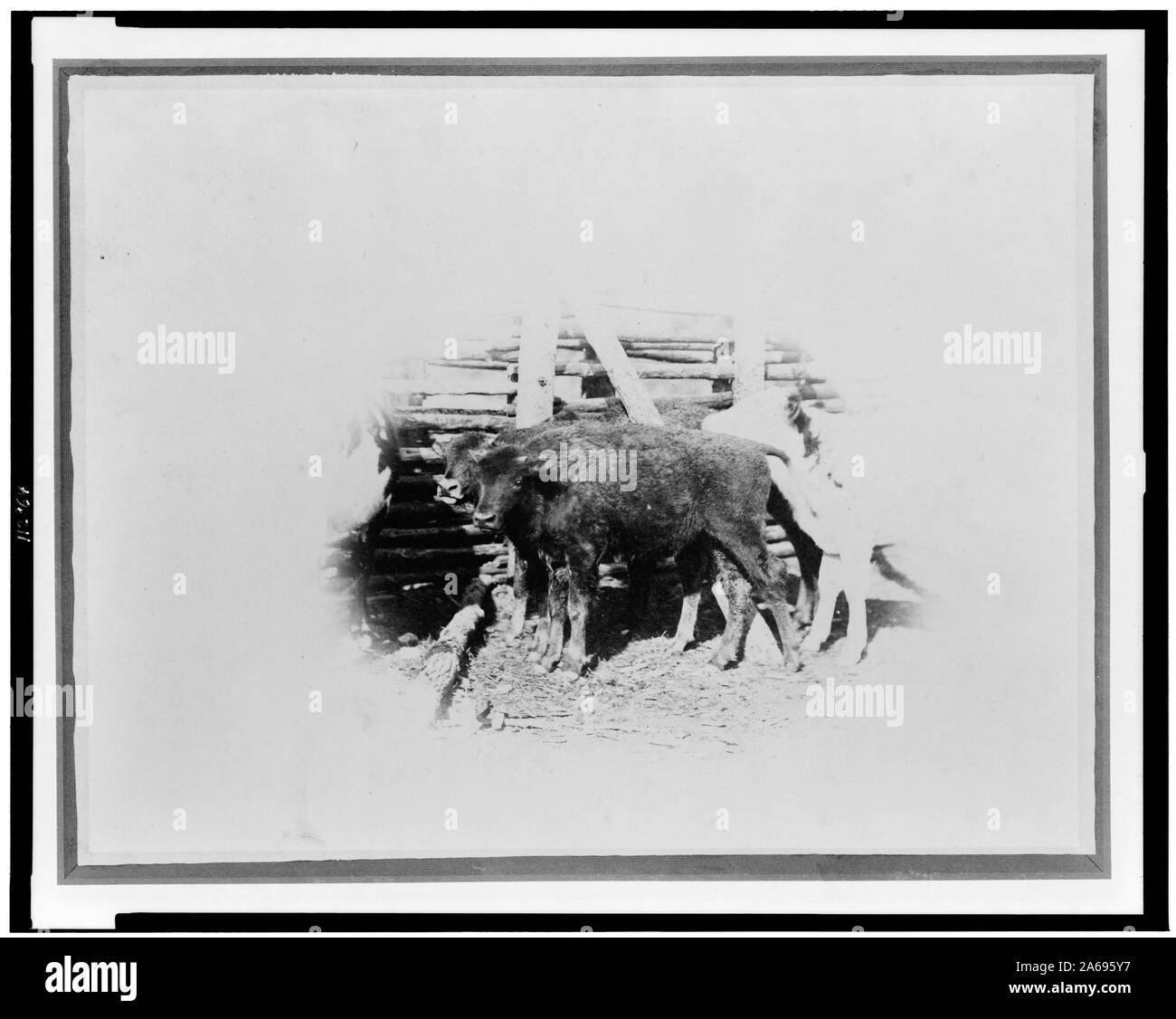 North sanctuary Cut Out Stock Images & Pictures - Alamy