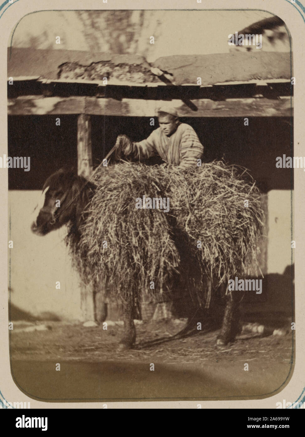 Zeravshan District City of Samarkand and the Types of People Seen in ...