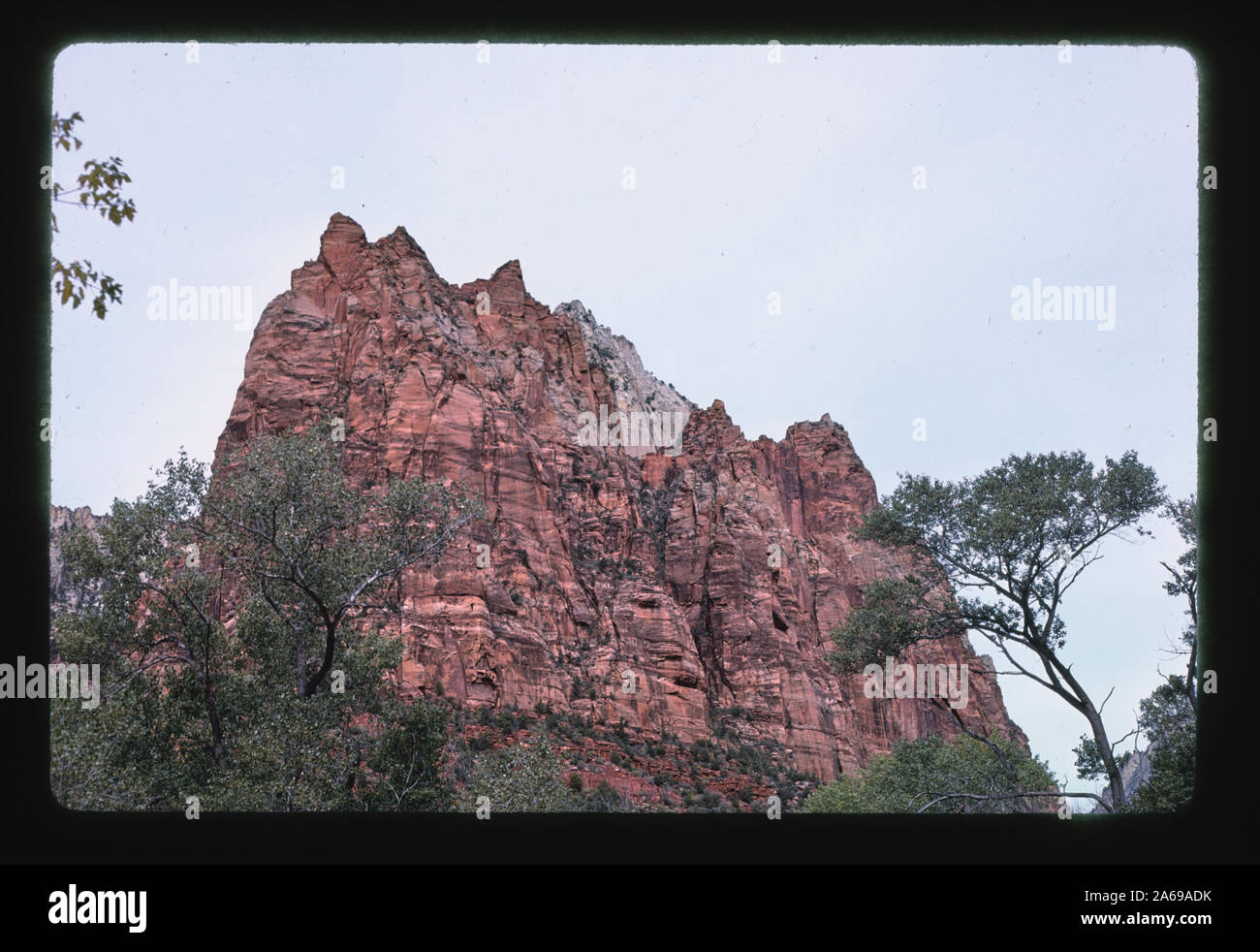 Zion National Park, Springdale, Utah Stock Photo - Alamy