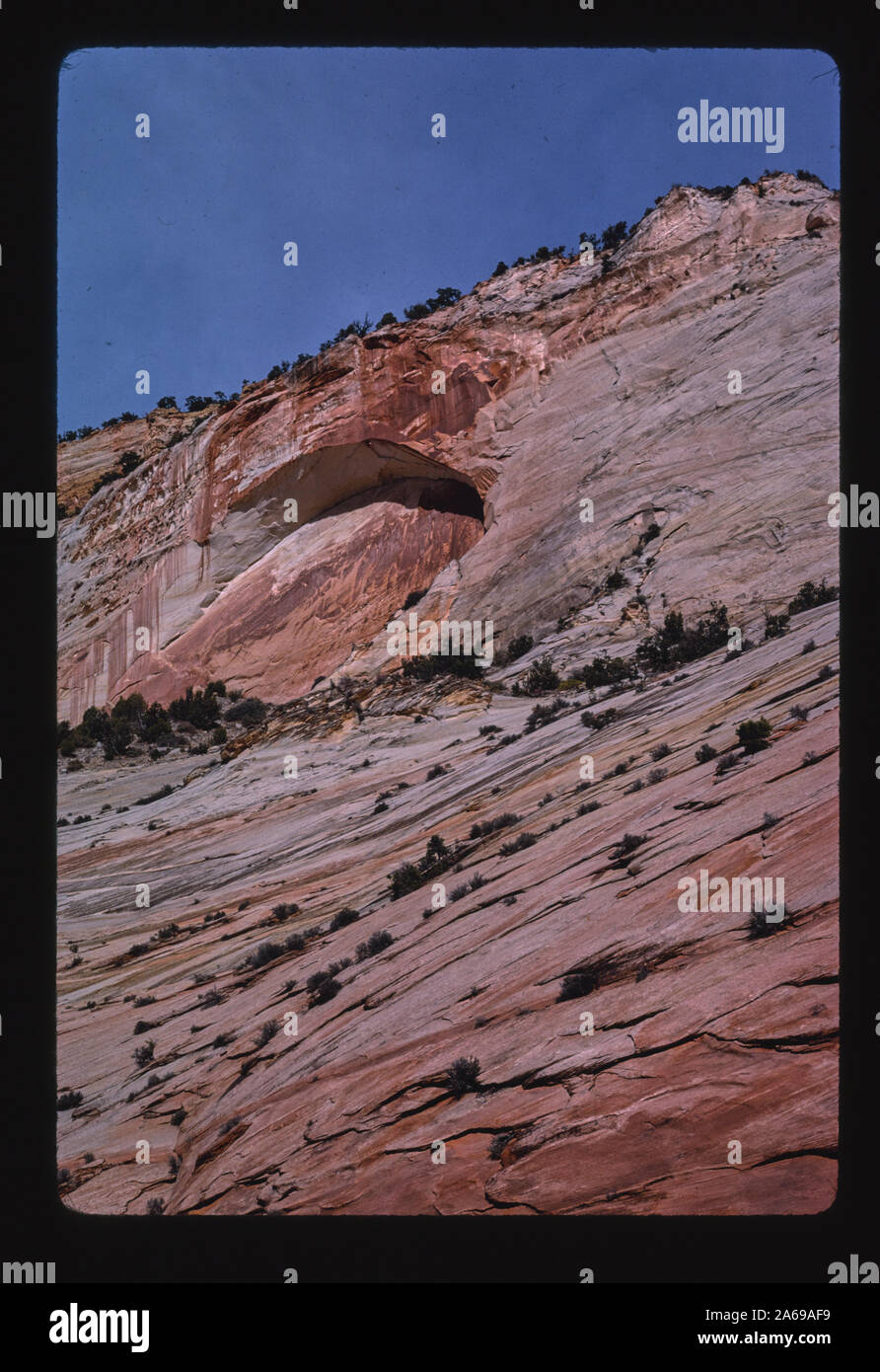 Zion National Park, Springdale, Utah Stock Photo - Alamy