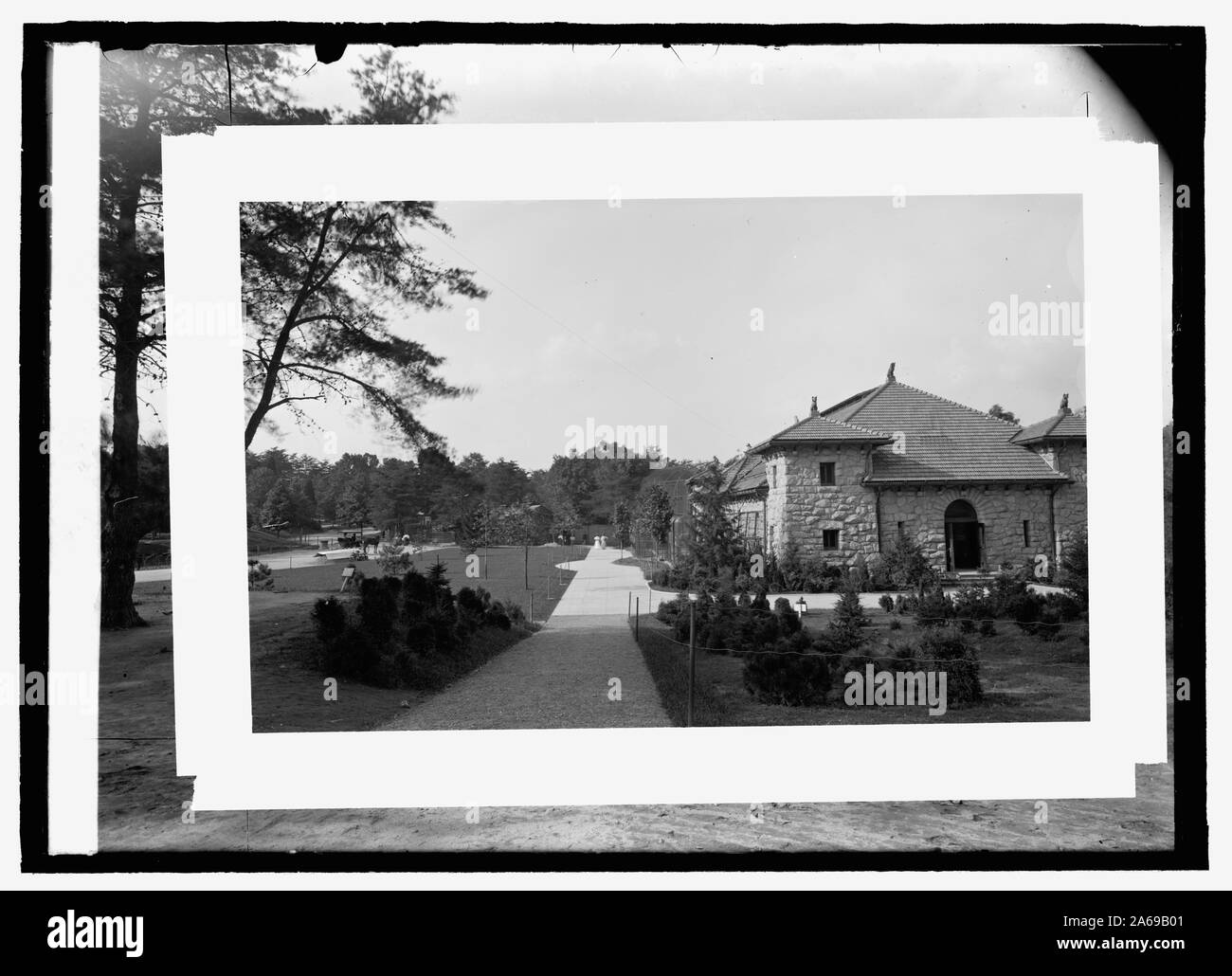 Public park wildlife Cut Out Stock Images & Pictures - Alamy