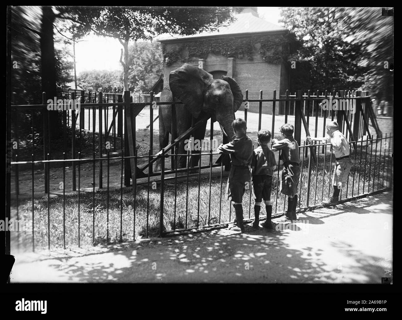 Zoo, Wash., D.C Stock Photo - Alamy