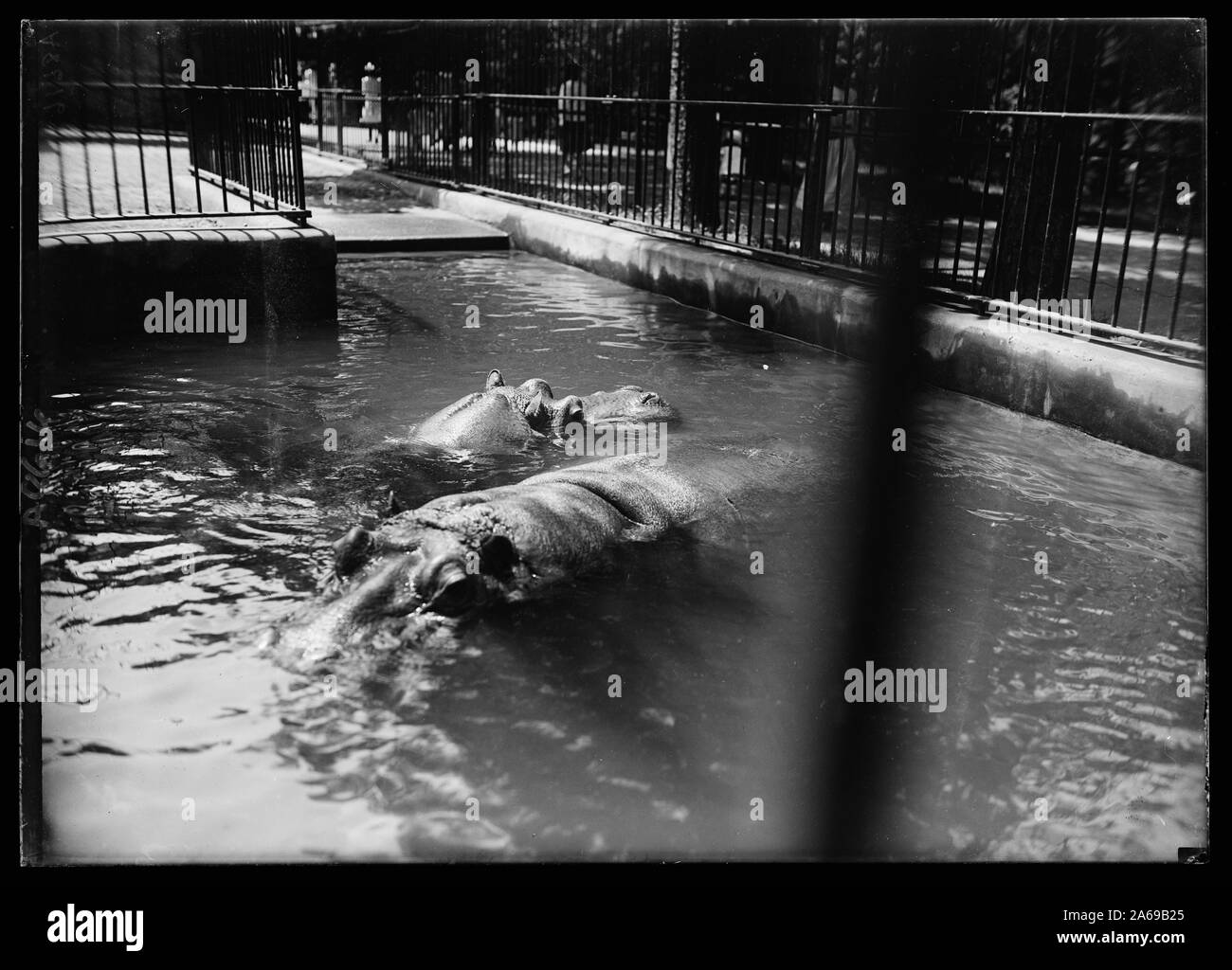 Zoo, Wash., D.C Stock Photo - Alamy