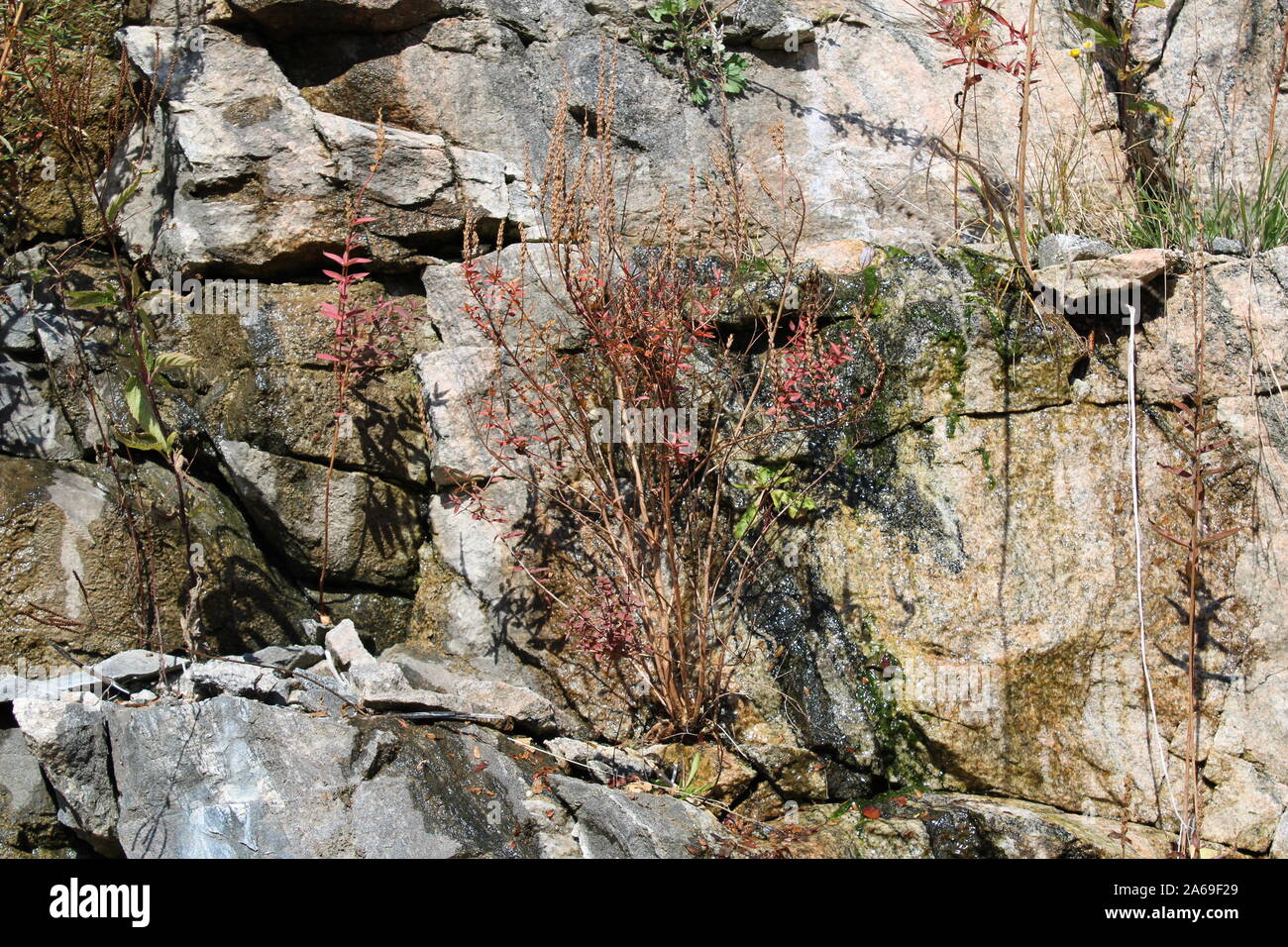 Hardscrabble hi-res stock photography and images - Alamy