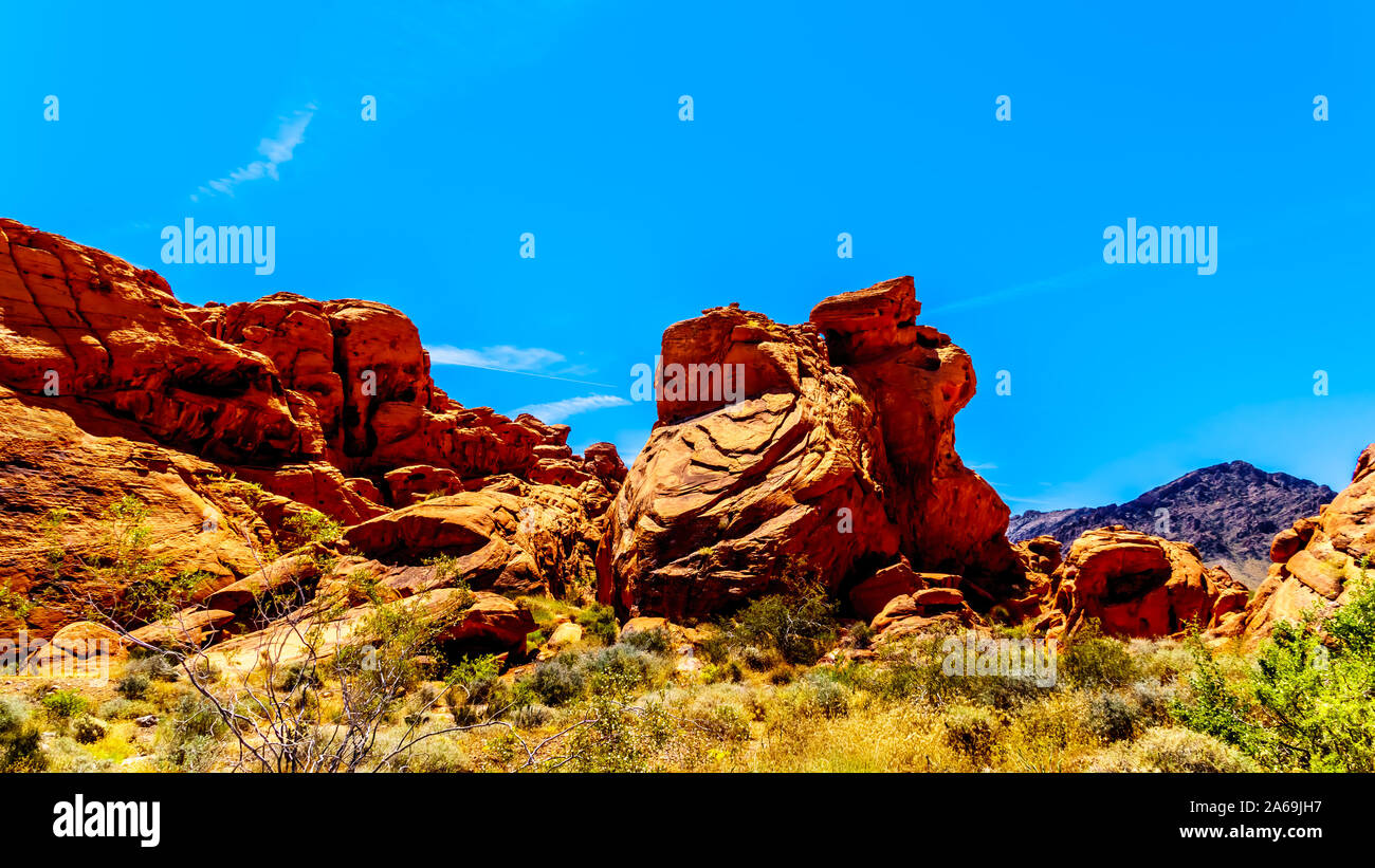 The erratic red Aztec Sandstone formation near the Arch Rock Campground ...