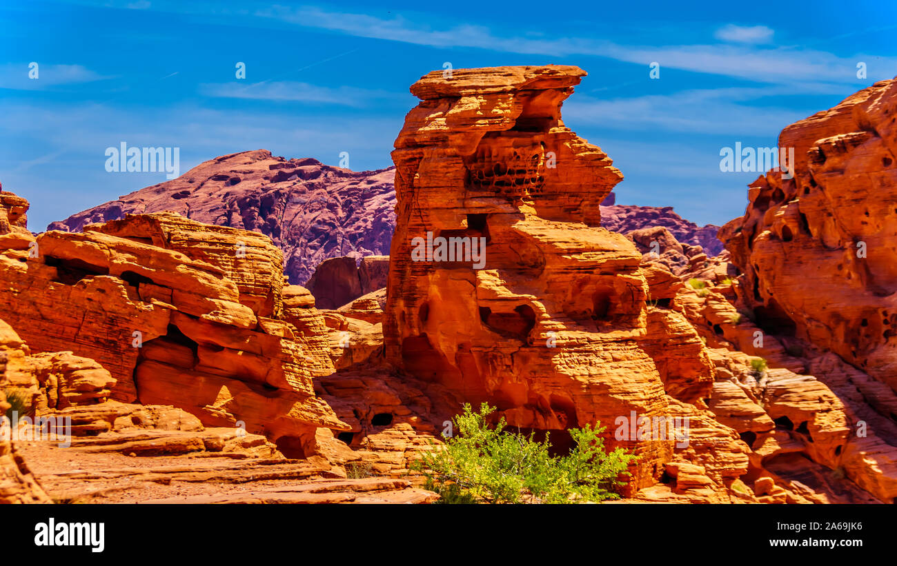The erratic red Aztec Sandstone formation near the Arch Rock Campground ...