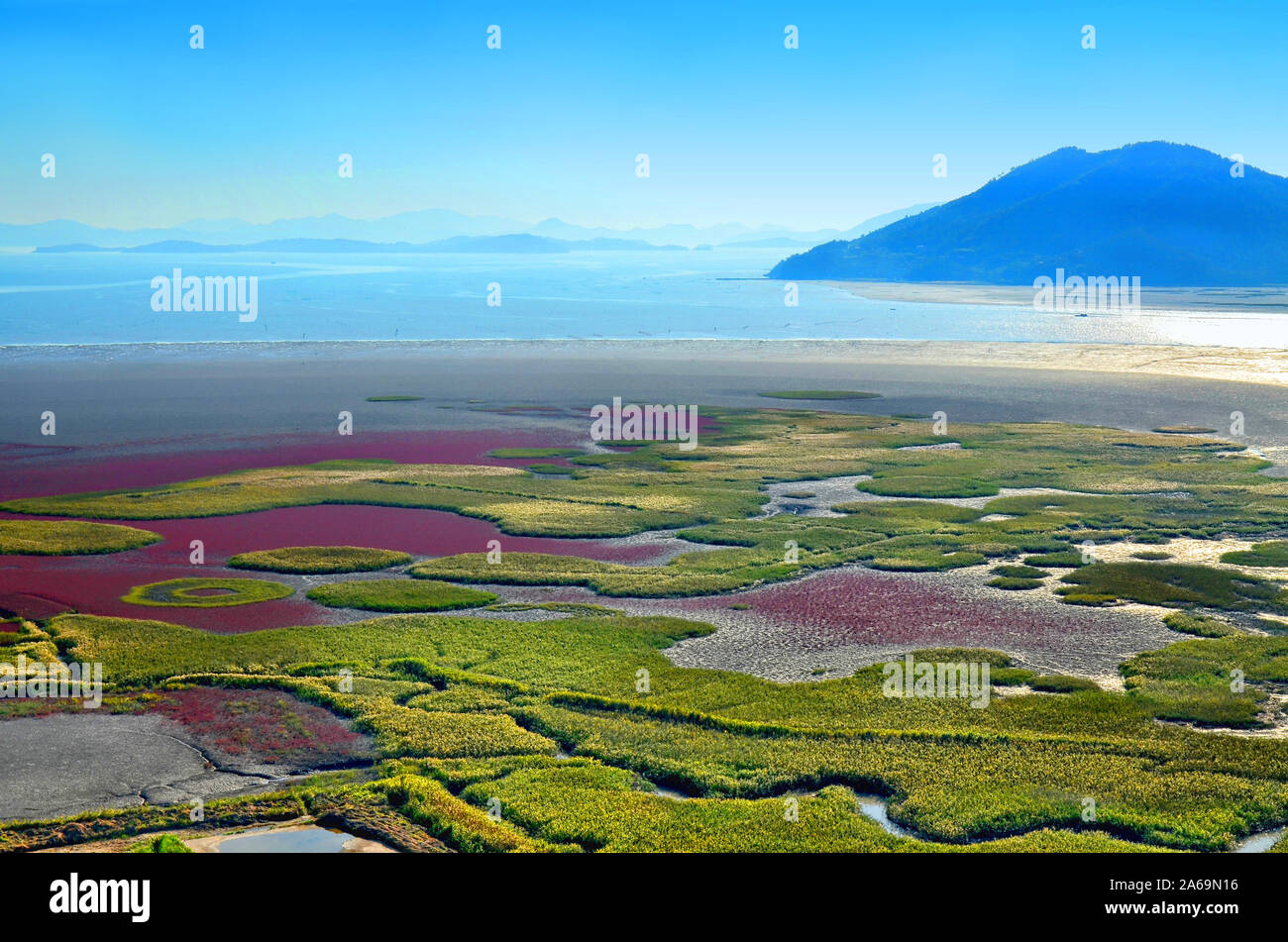 Suncheon bay wetland reserve, South Korea Stock Photo - Alamy