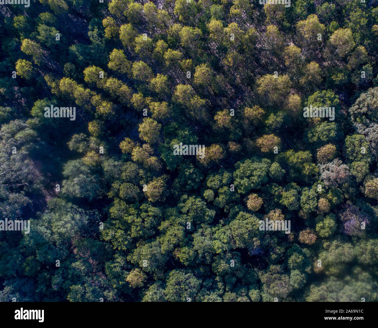 Drone hike green hi-res stock photography and images - Alamy