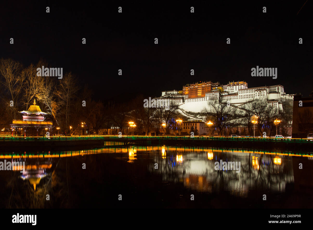 Refections of the Potala Palace lighted at night in a lake in Potala ...