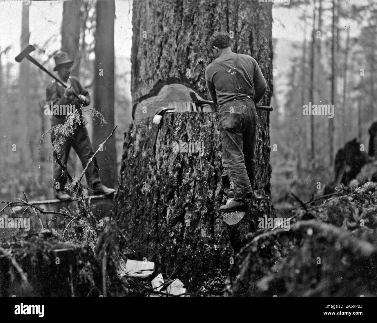 Wooden ship construction hi-res stock photography and images - Alamy