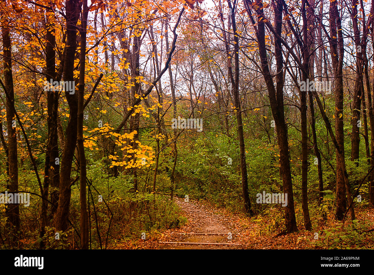 Chicago colors in autumn hi-res stock photography and images - Alamy