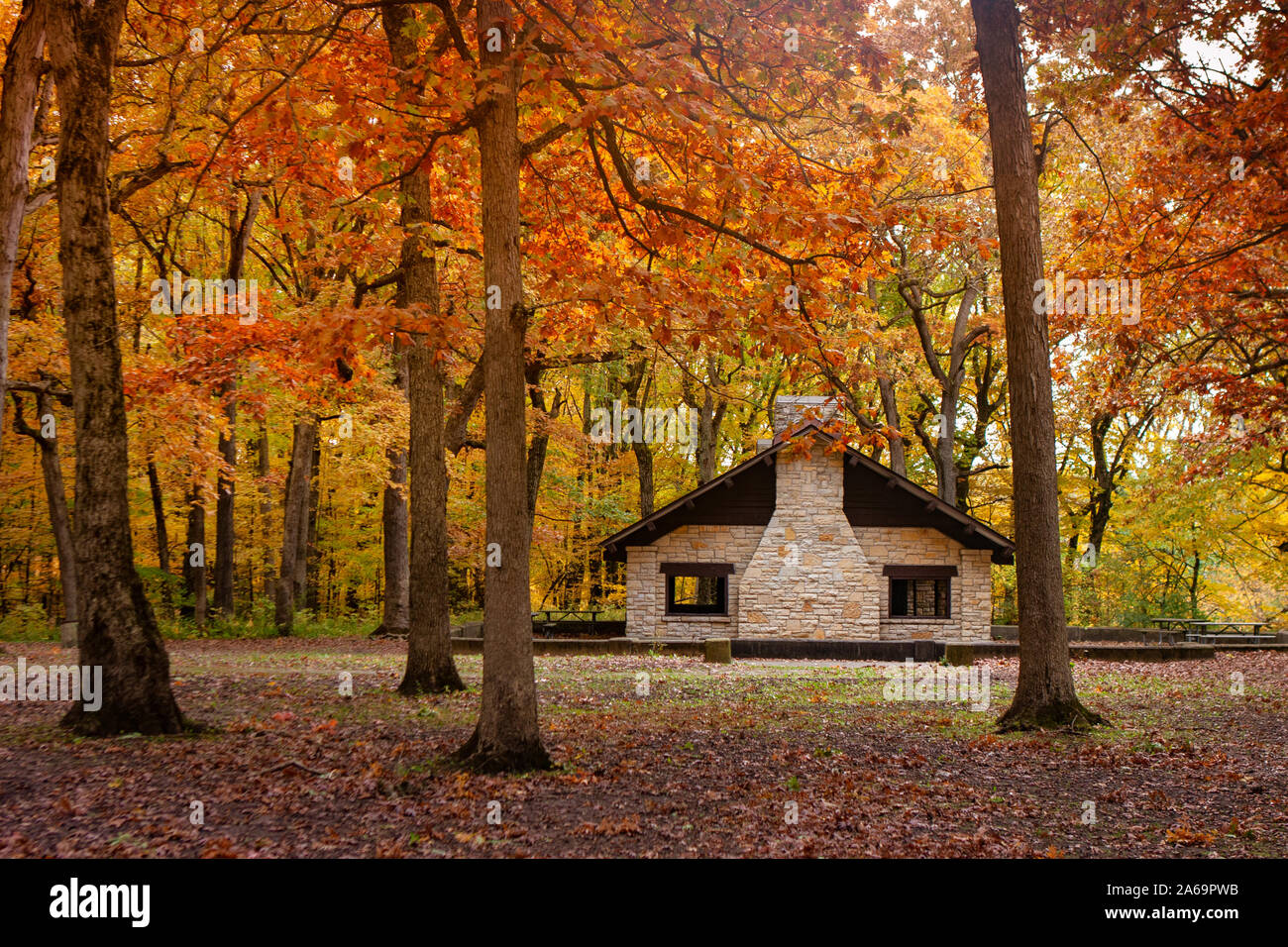Colorful Autumn Forest Landscape Background Scene in Illinois USA Near ...