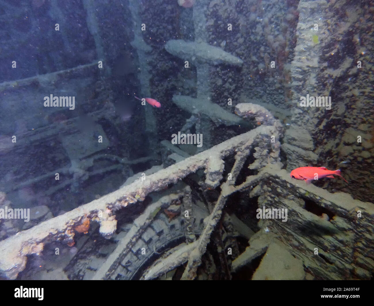 Ss Thistlegorm Stock Photos & Ss Thistlegorm Stock Images - Alamy