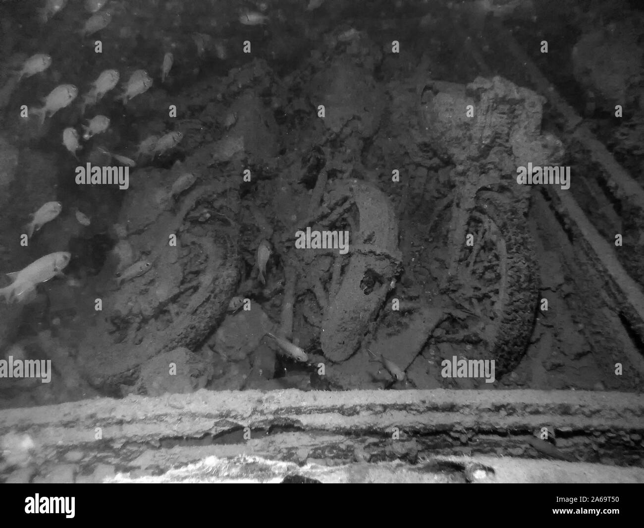 The wreck of the SS Thistlegorm in the Red Sea, Egypt Stock Photo - Alamy