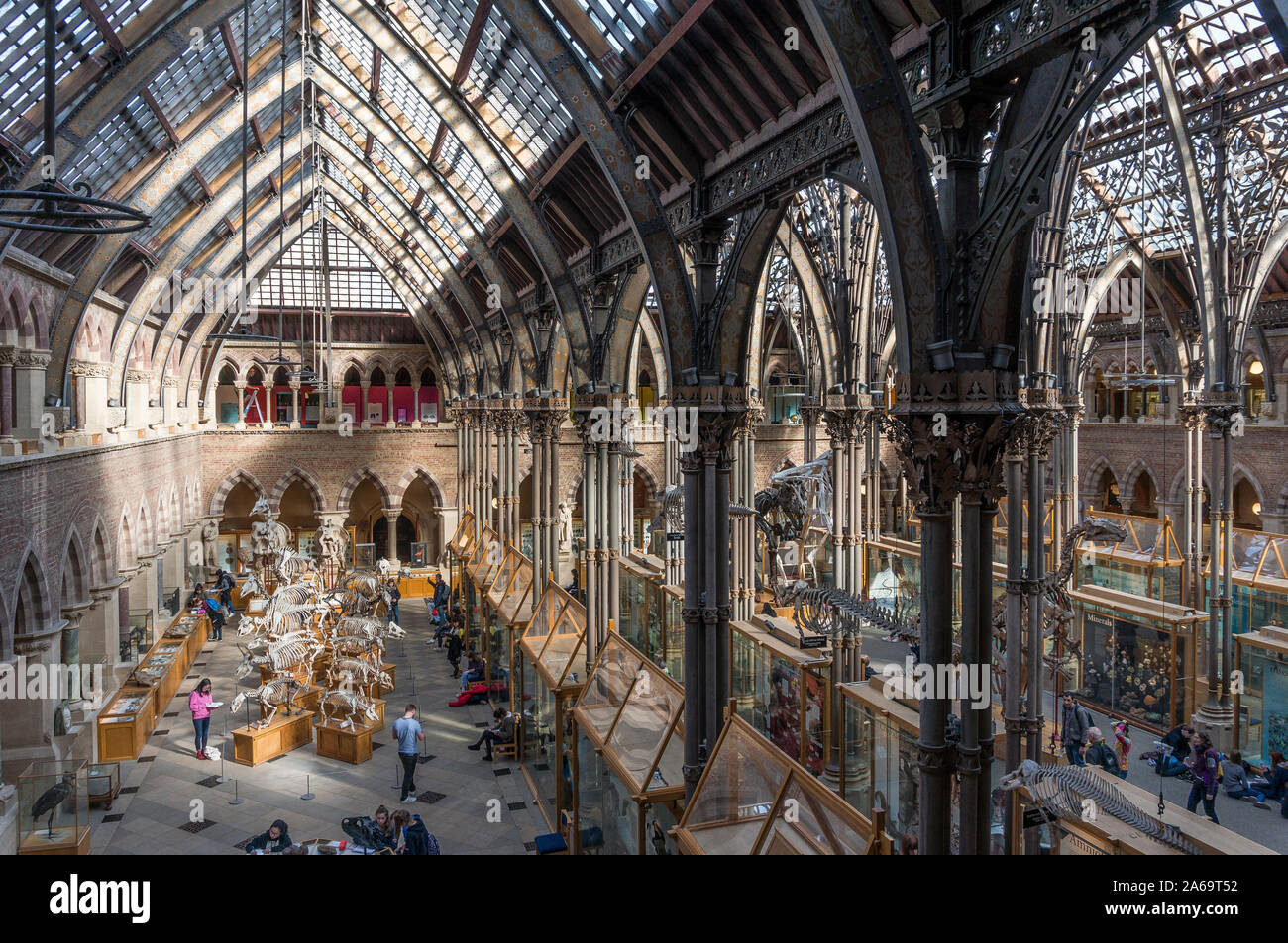 Inside the Oxford University Museum of Natural History Stock Photo - Alamy