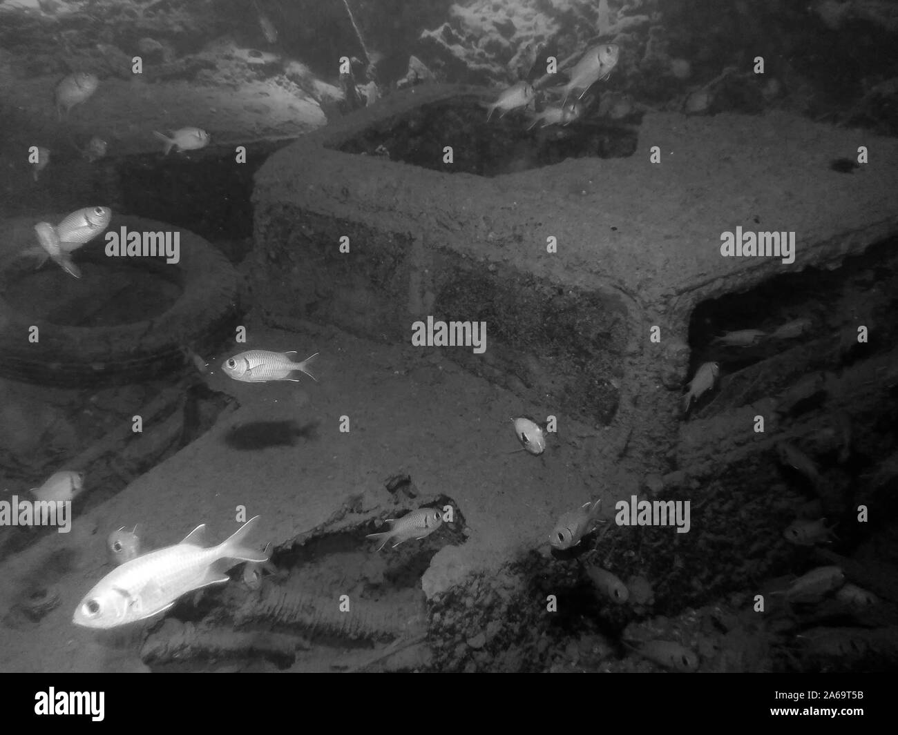 The wreck of the SS Thistlegorm in the Red Sea, Egypt Stock Photo - Alamy