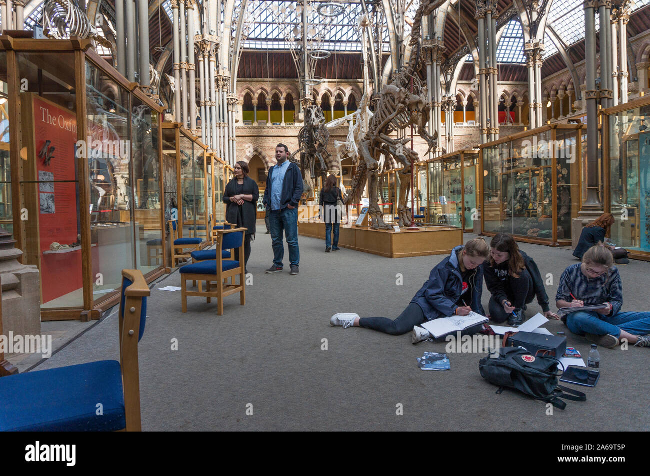 Inside the Oxford University Museum of Natural History Stock Photo - Alamy