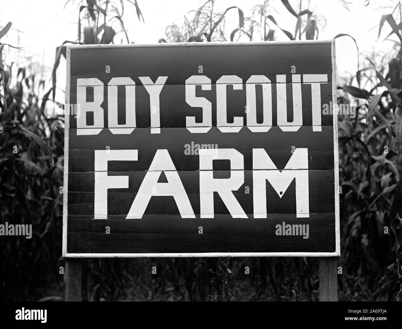 Vintage boy scout Black and White Stock Photos & Images - Alamy