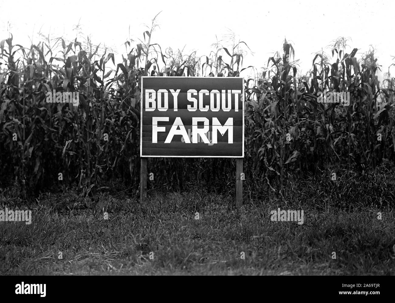 Boy scout sign hi-res stock photography and images - Alamy