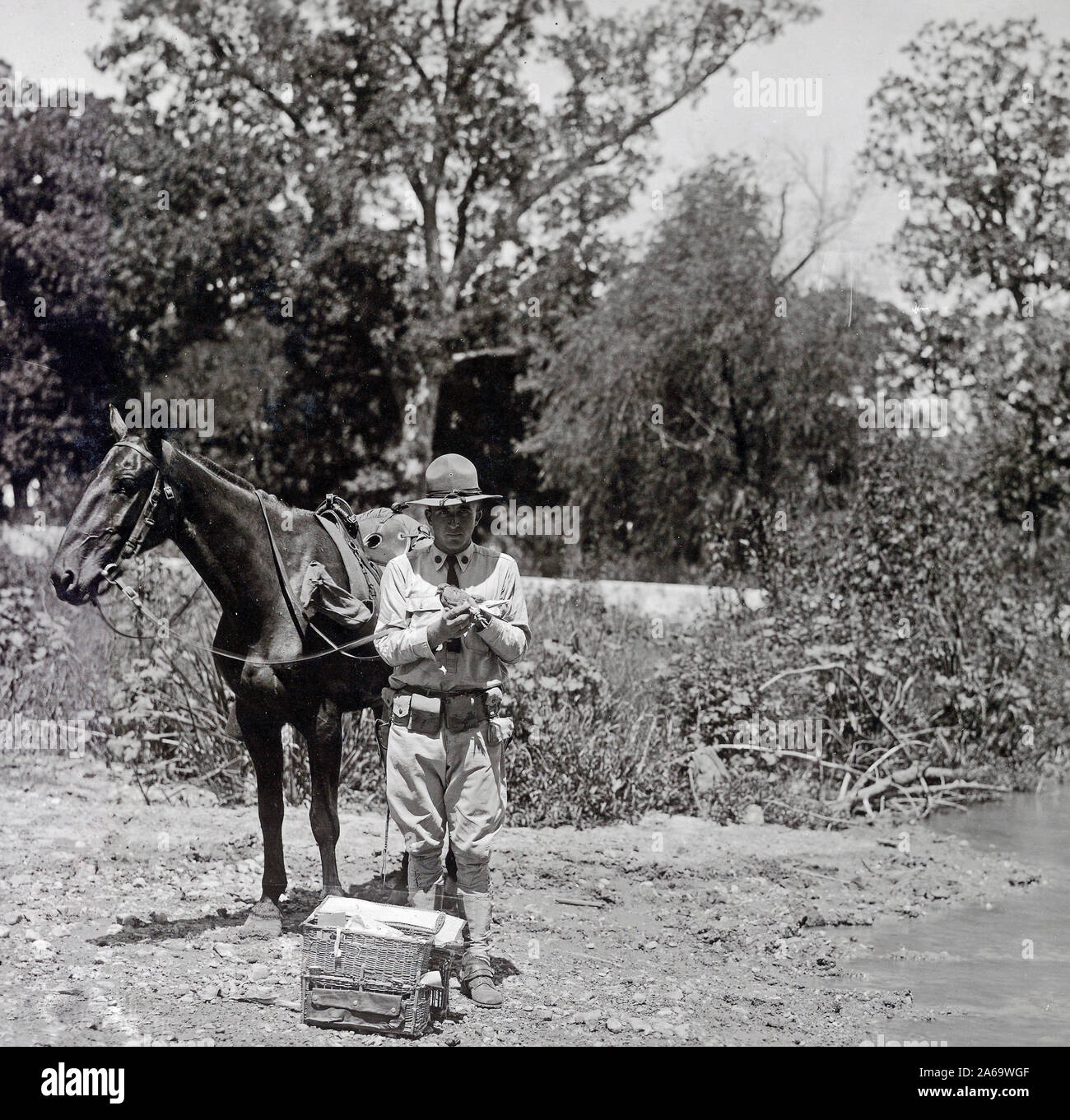 Signal Corps Apparatus. Pigeon Section. Releasing carrier pigeon with a ...