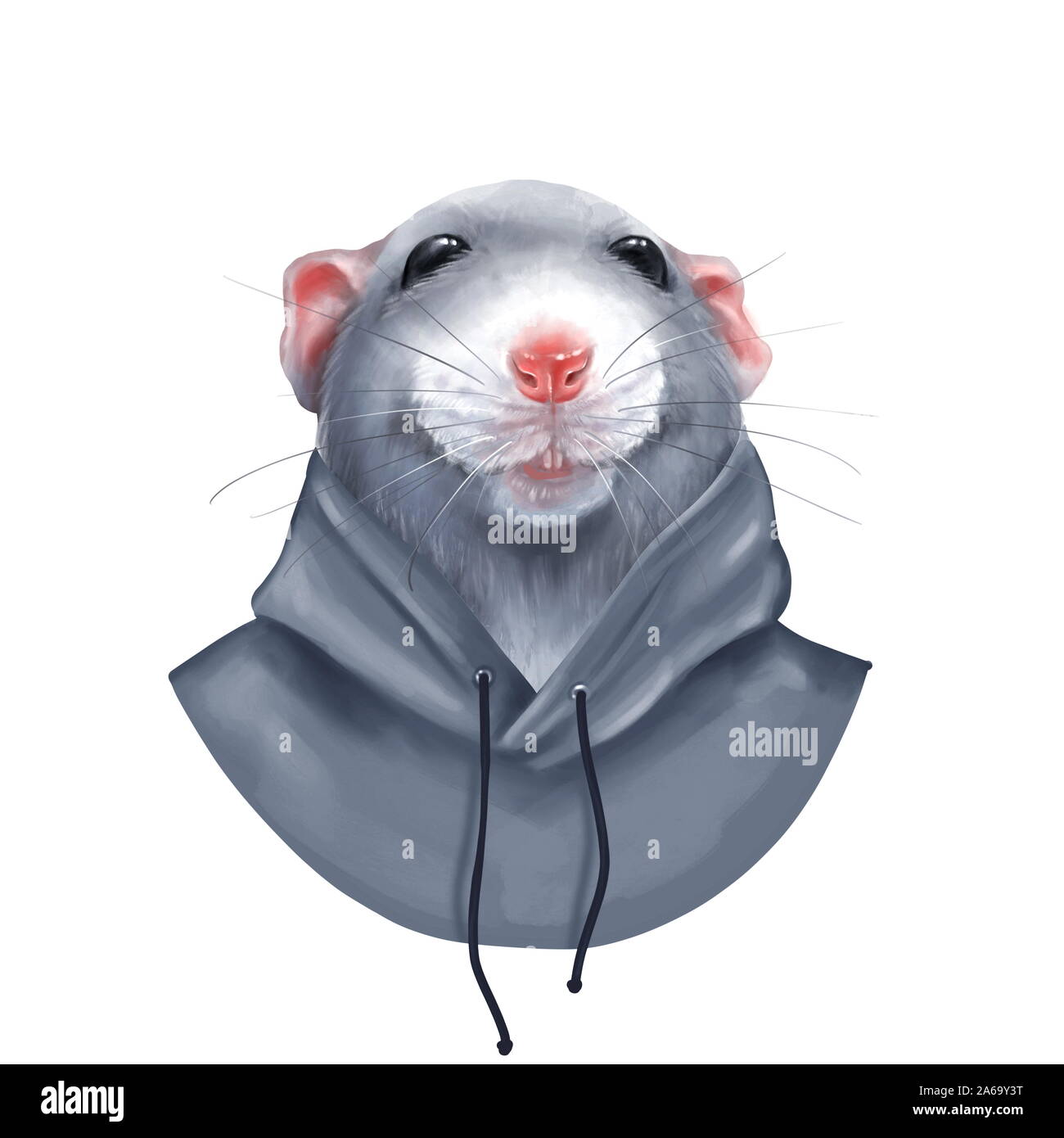 Cute grey rat isolated on white background Stock Photo - Alamy