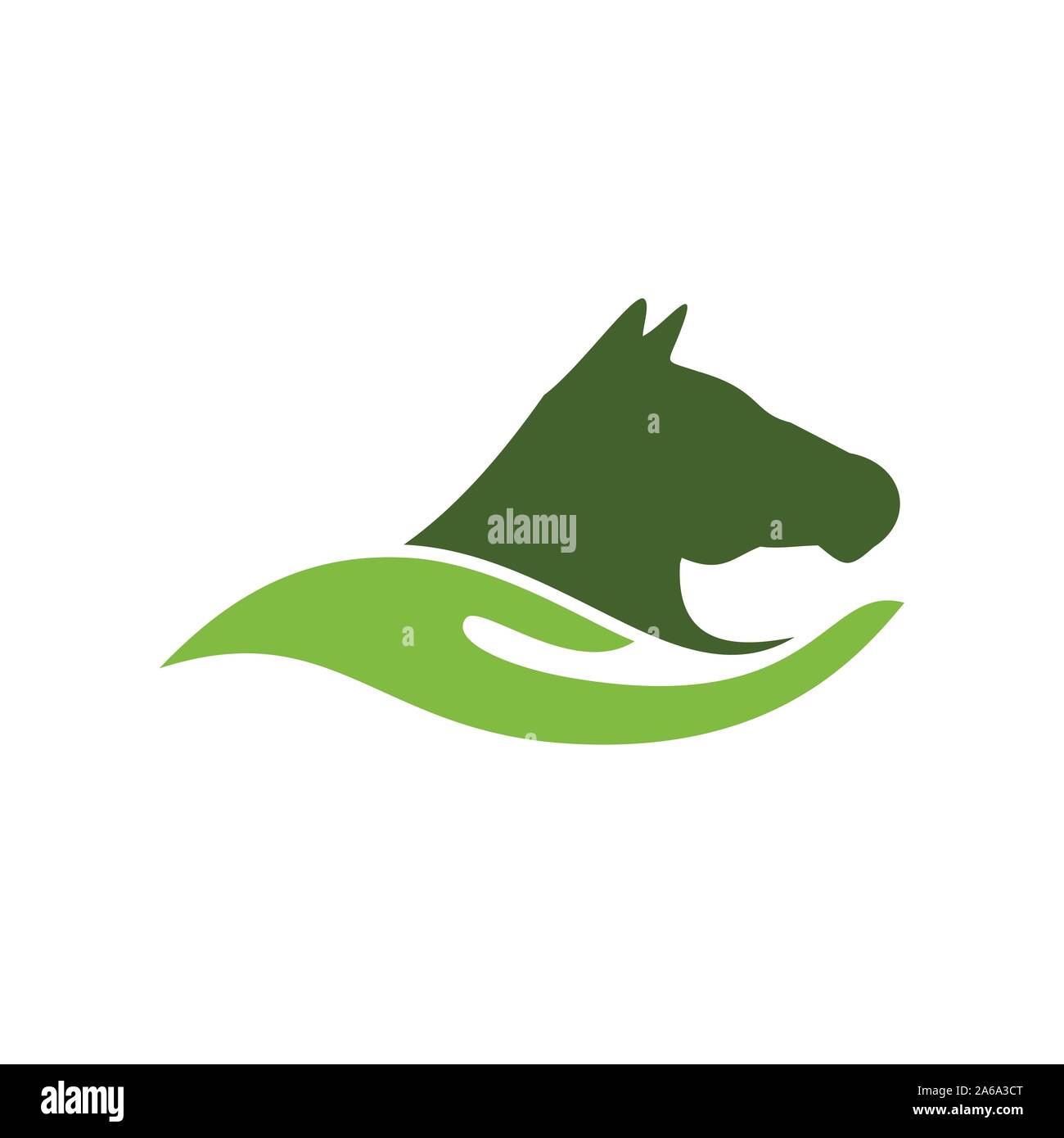 Ranch hand horse Cut Out Stock Images & Pictures - Alamy