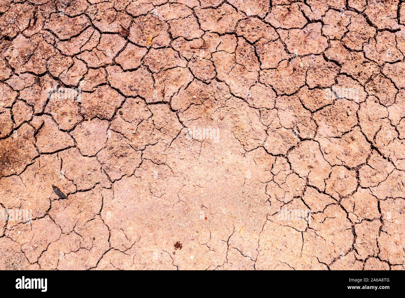 Arid soil hi-res stock photography and images - Alamy