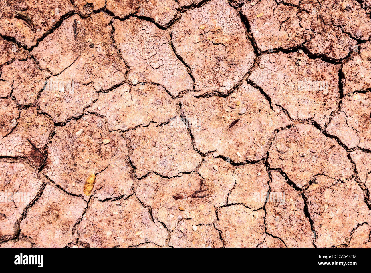 Arid soil hi-res stock photography and images - Alamy