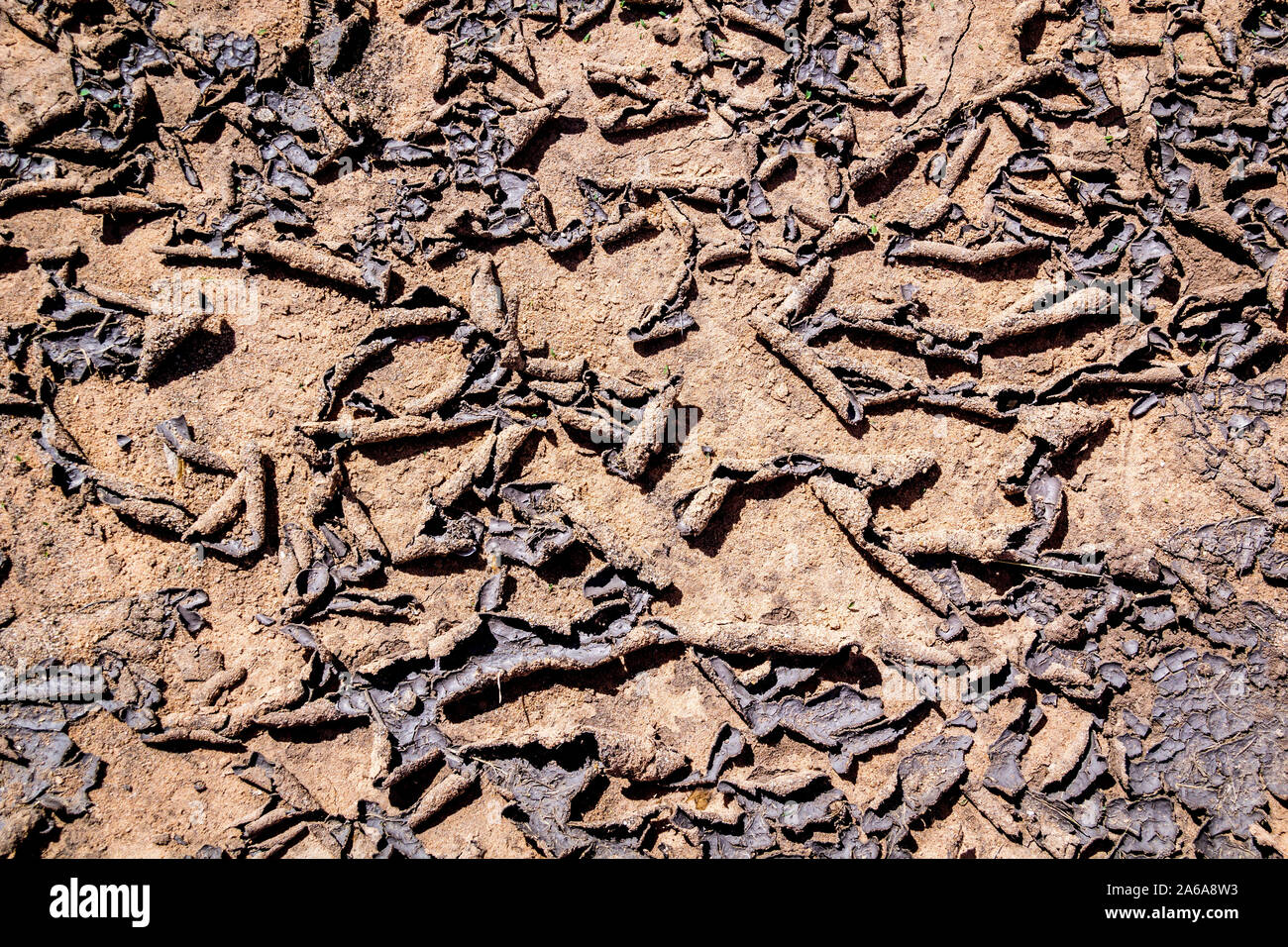 Arid background texture hi-res stock photography and images - Alamy