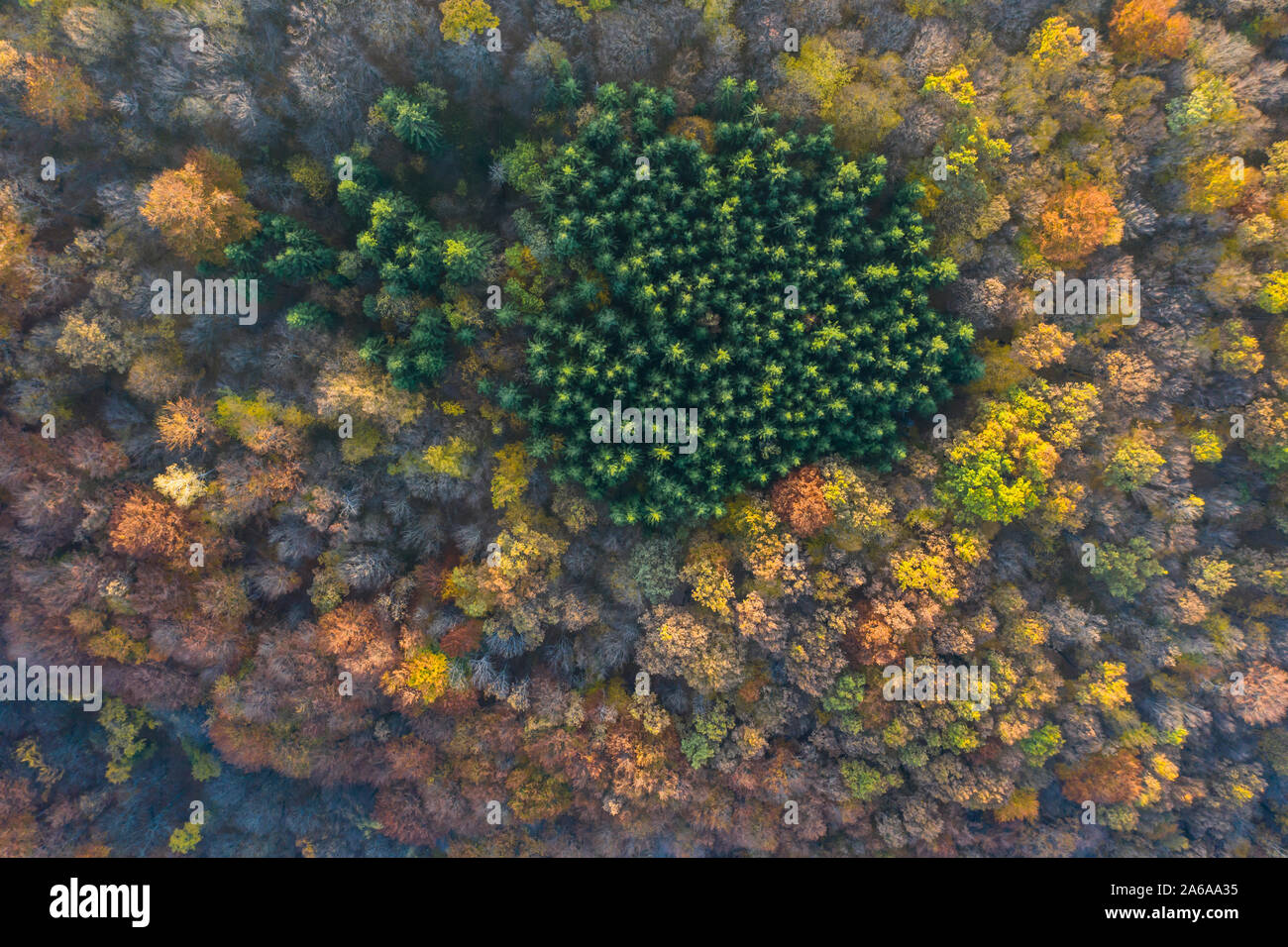 Flying above beautiful fall colors hi-res stock photography and images ...