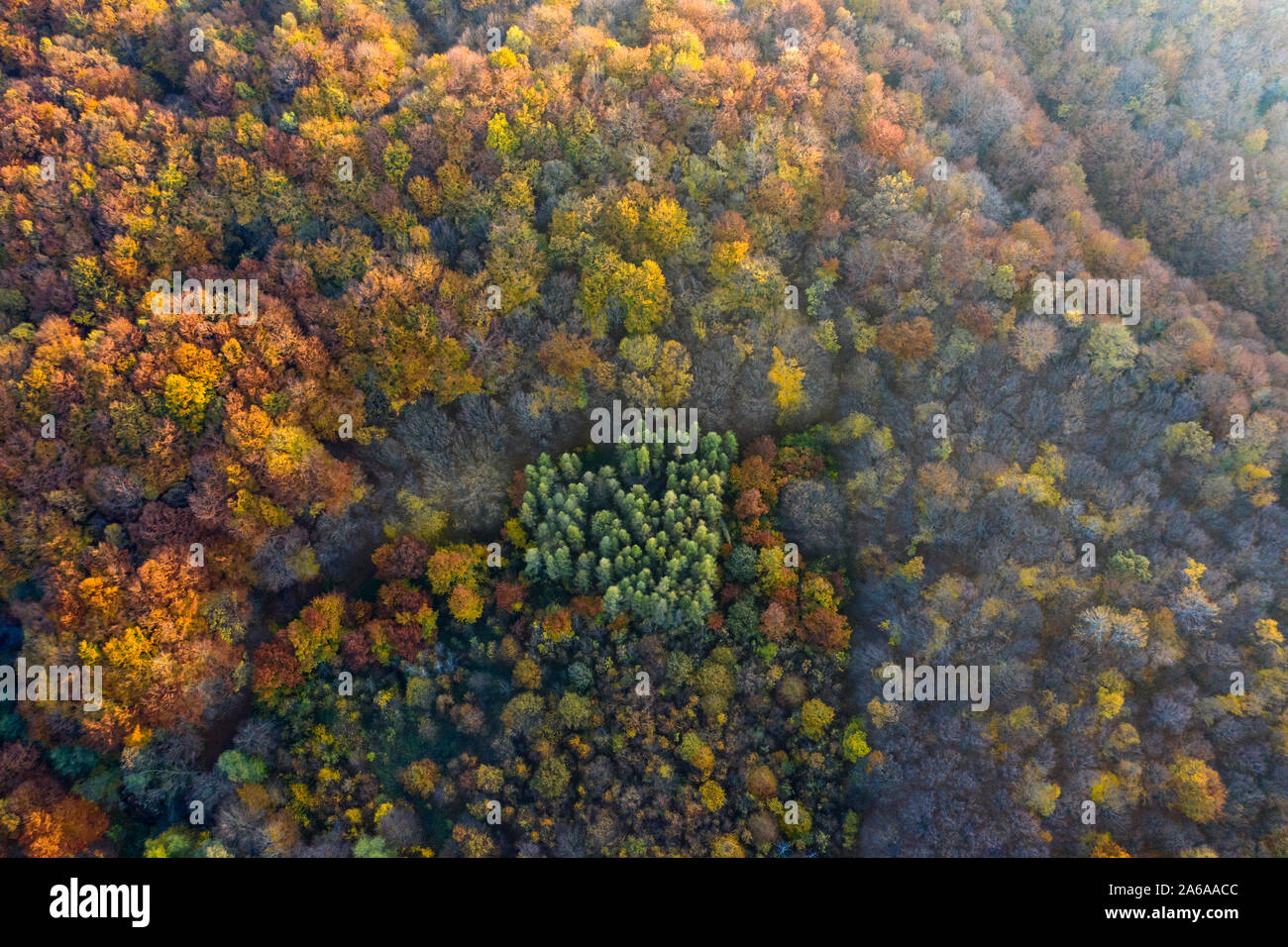 Flying above beautiful fall colors hi-res stock photography and images ...
